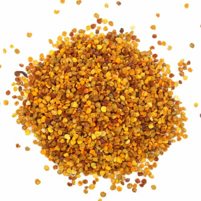 Wholesale bulk bee pollen | Fresh, dried and powder | HoneyGreen